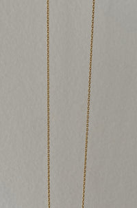 staple chain– CCNY